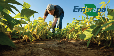Embrapa Amazônia Ocidental lança edital para cadastro reserva de bolsas ...